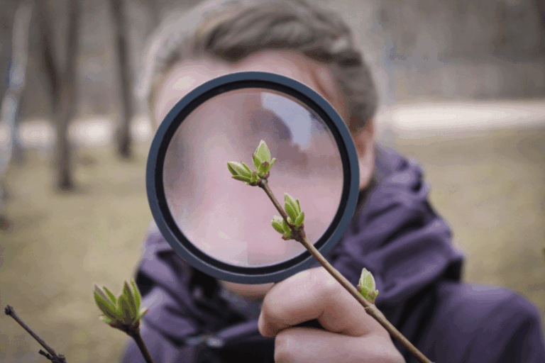 HSPにある4種類を診断【無料】さらにMBTIの16種類に分類 | HSPな人のブログ